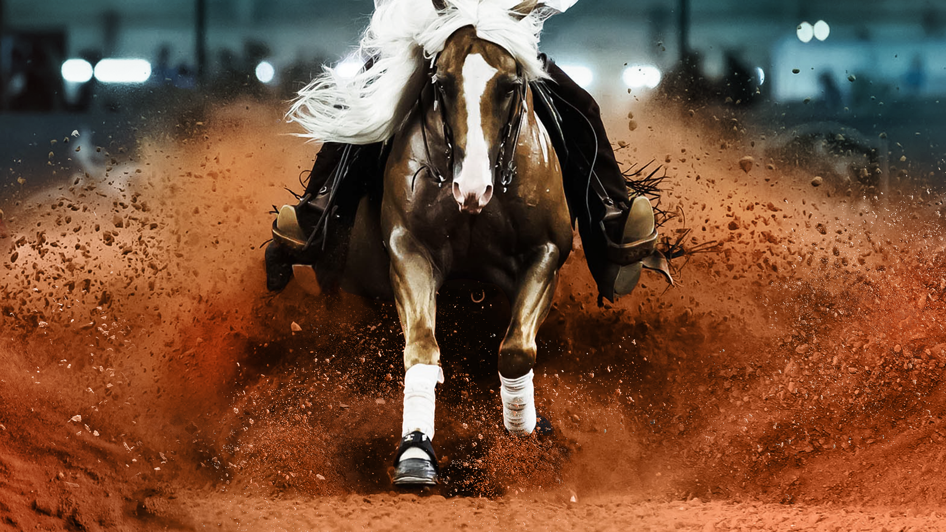 NRHA | Stallion Directory